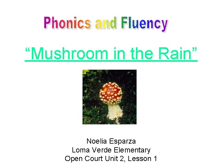 Mushroom in the Rain Noelia Esparza Loma Verde