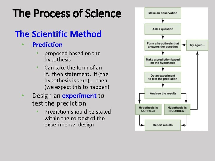 Chapter 1 The Study of Life General Biology