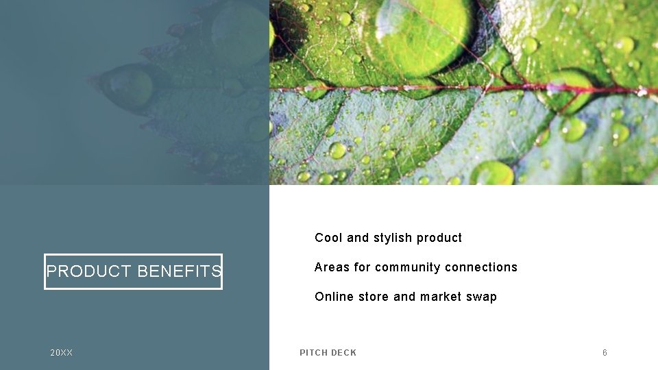 PITCH DECK Mirjam Nilsson At Contoso we empower