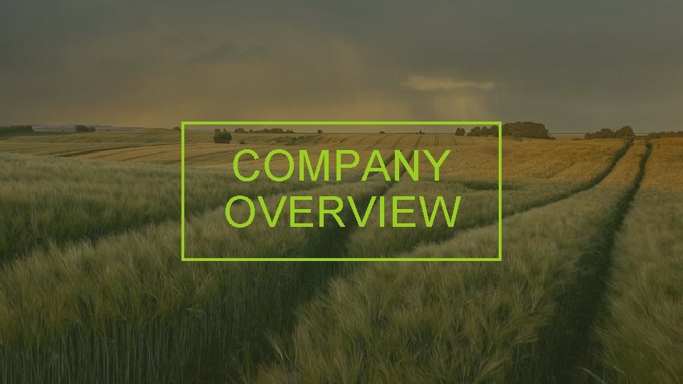 PITCH DECK Mirjam Nilsson At Contoso we empower