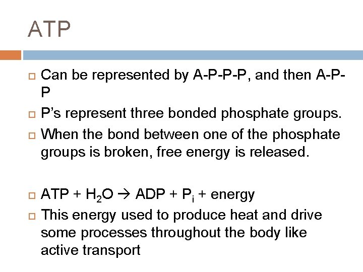 BIOLOGY CHAPTER 6 THE FLOW OF ENERGY Objectives