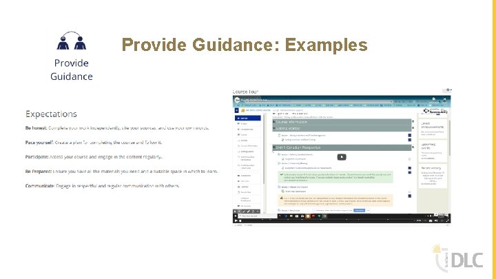 The Basics Designing Online Lesson Plans Presented by