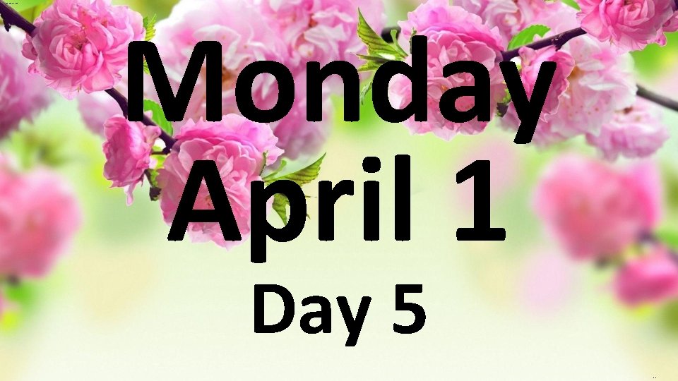 Violet Was here 2019 Monday April 1 Day