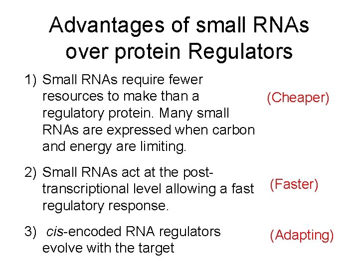 Lecture 13 Regulation of Gene Expression Part 2