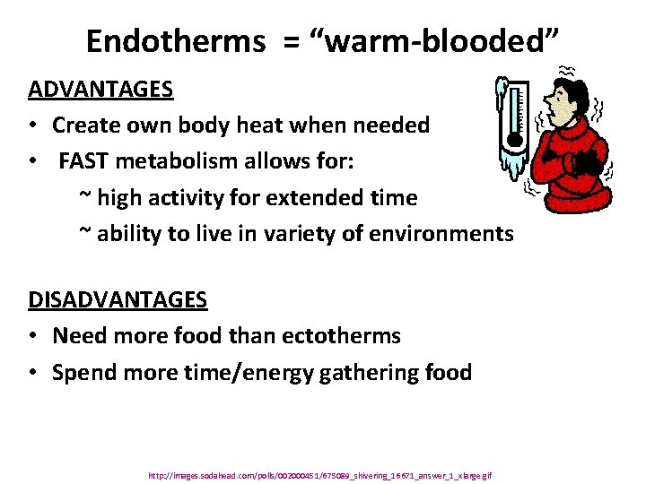 Thermoregulation Slide show by Kelly RiedellBrookings Biology 2020