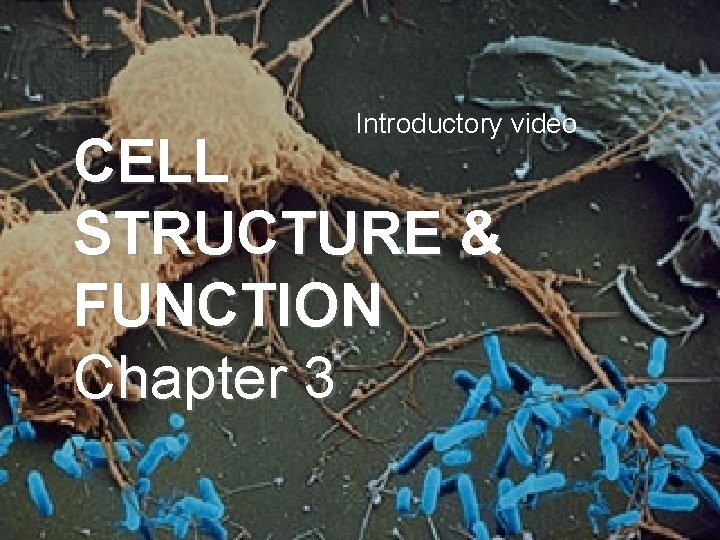 Introductory video CELL STRUCTURE FUNCTION Chapter 3 Essential