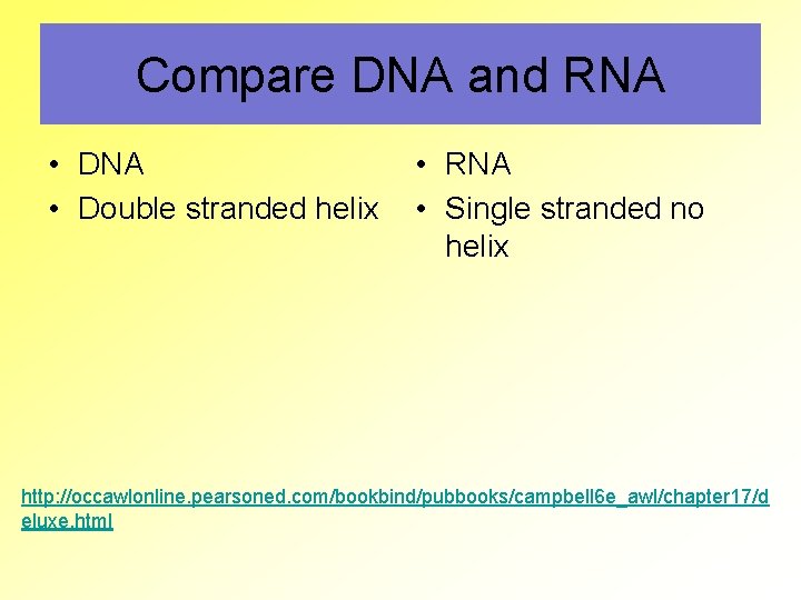 Molecular Biology How Cells Make Proteins Using DNA
