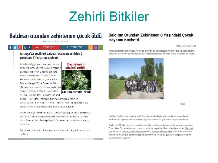 Zehirli Narkotik ve Halusinojenik Bitkiler ZEHRLERN SINIFLANMASI EPAnn