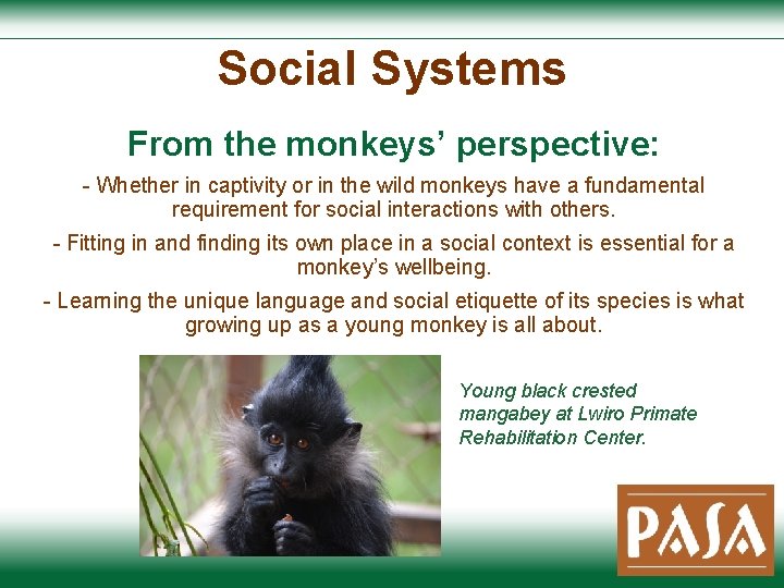 Behavior and Social Aspects of Animal Care MONKEYS