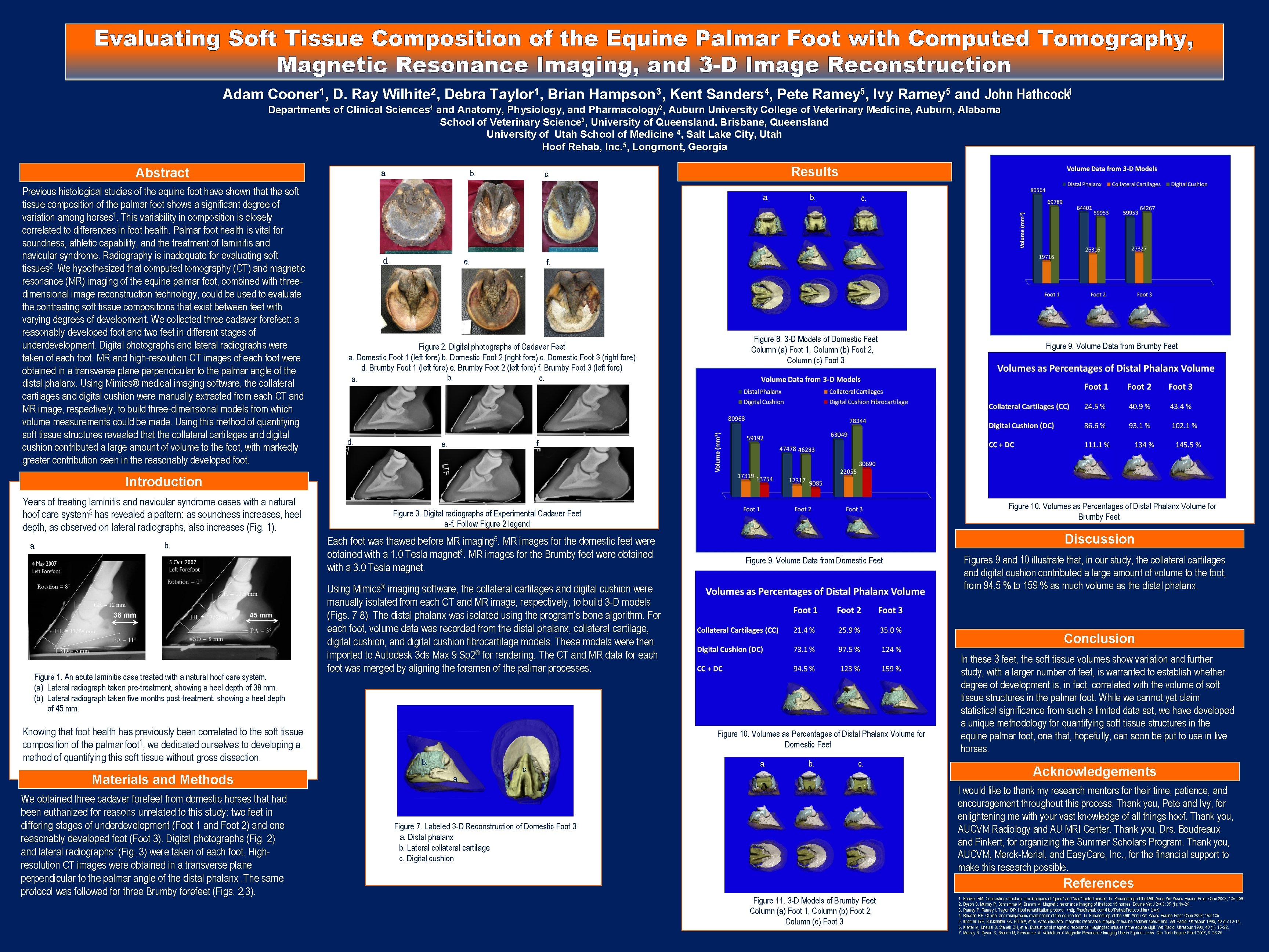 Evaluating Soft Tissue Composition of the Equine Palmar