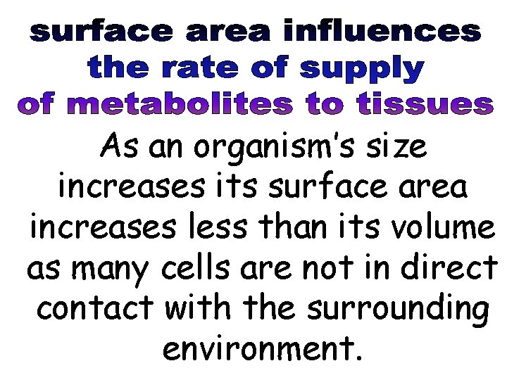 Understand the relationship between an organisms size and