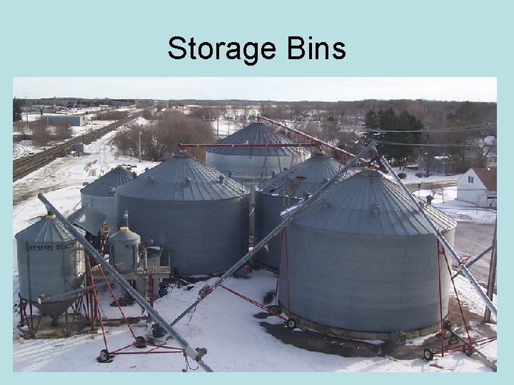 Canola Harvesting BY Derek Thoms What can be