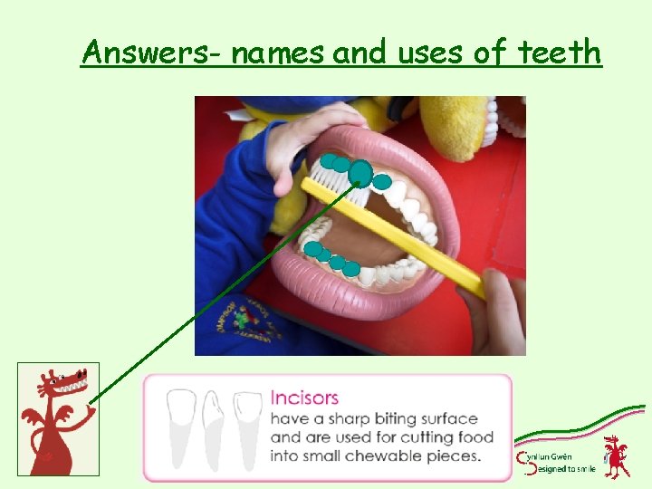 Oral Health Lesson 1 Learning about teeth Lesson