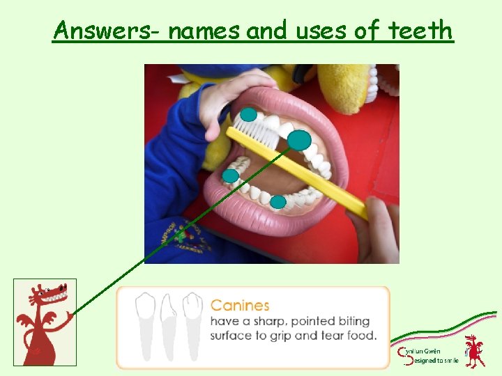 Oral Health Lesson 1 Learning about teeth Lesson