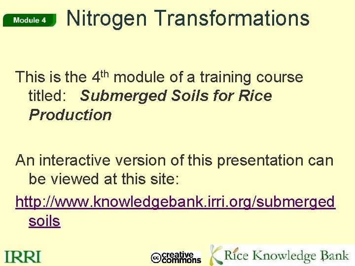 Nitrogen Transformations This is the 4 th module