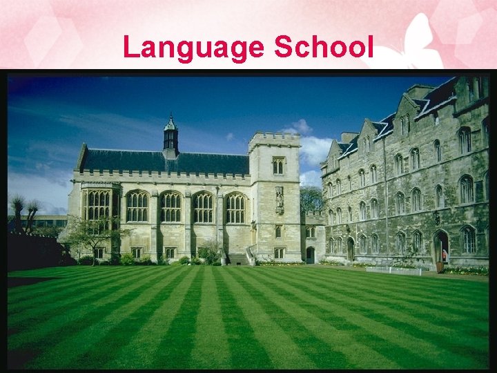 I listen sing window video picture i clean