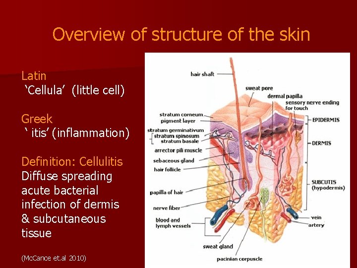 Cellulitis Fungal Infection Venous Eczema Presented by Natalie