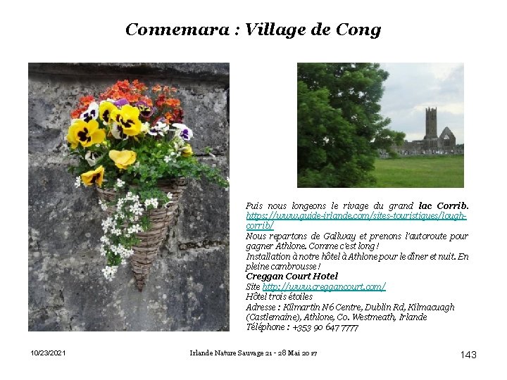 Connemara Abbaye de Cong 10232021 Irlande Nature Sauvage