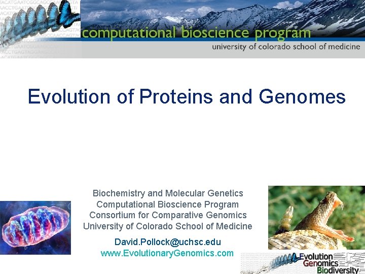 Evolution of Proteins and Genomes Biochemistry and Molecular