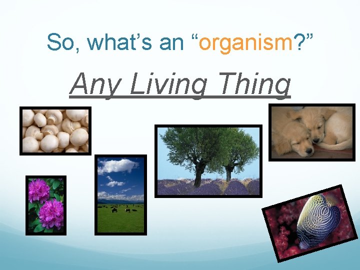 Chapter 1 Biology You There are 3 Parts