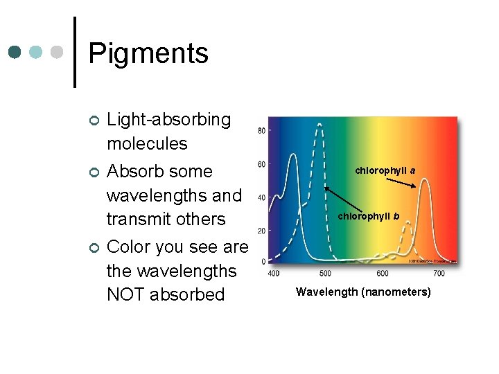 Photosynthesis Chapter 6 Carbon and Energy Sources Photoautotrophs