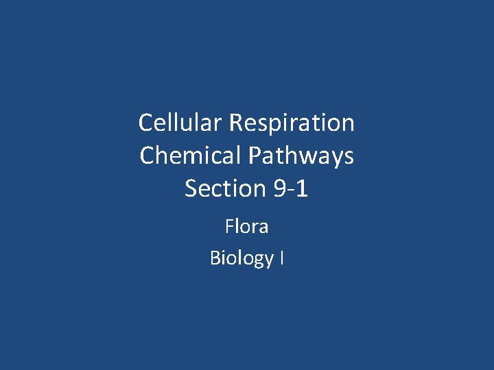 Cellular Respiration Chemical Pathways Section 9 1 Flora