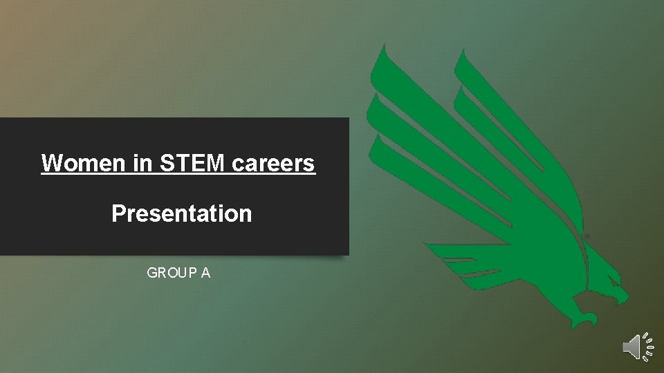 Women in STEM careers Presentation GROUP A THE