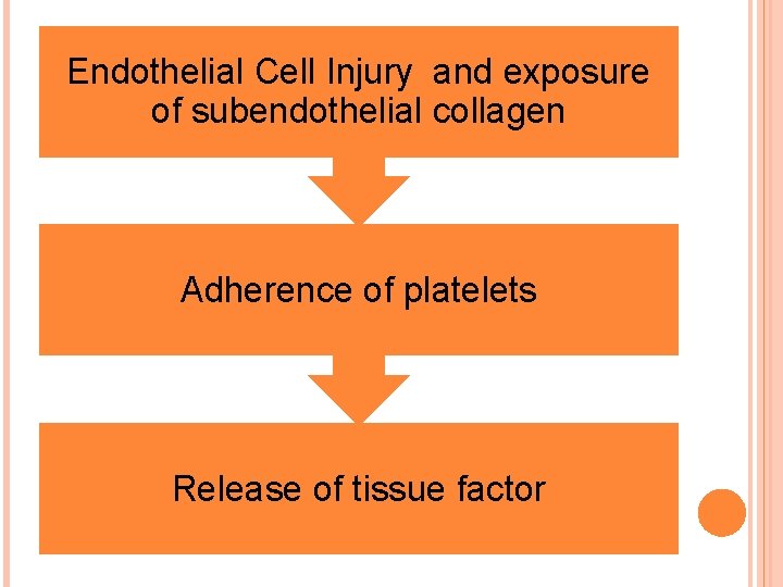THROMBOSIS Dr Nisreen Abu Shahin Assistant Professor of