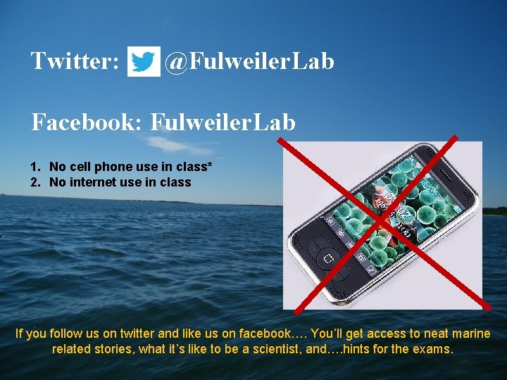 Introduction to Oceanography ES 144 Prof Wally Fulweiler