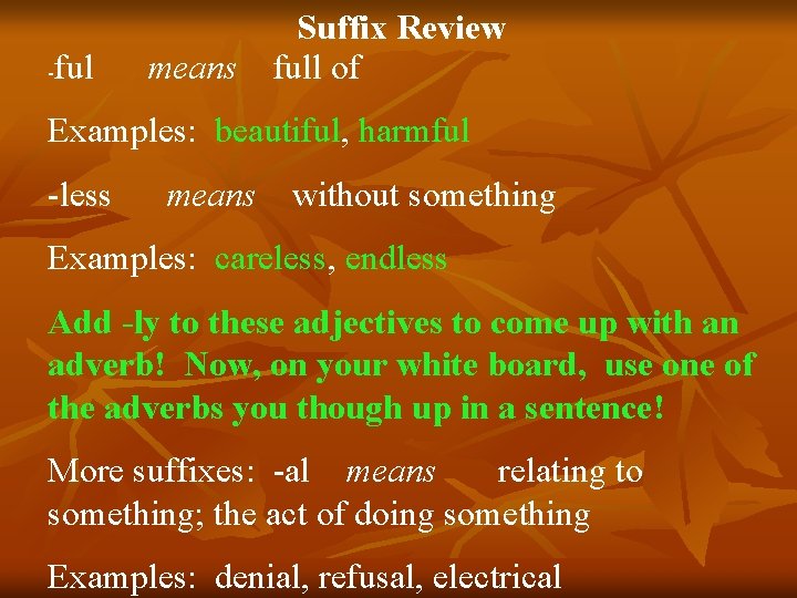 Tree of Life Word Analysis The Big Idea