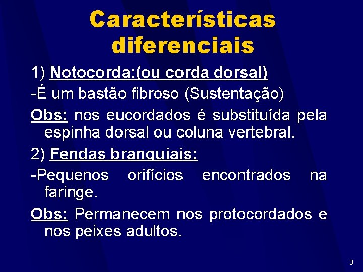 BIOLOGIA Professor Vincius 1 Cordados Aspectos Gerais Dos