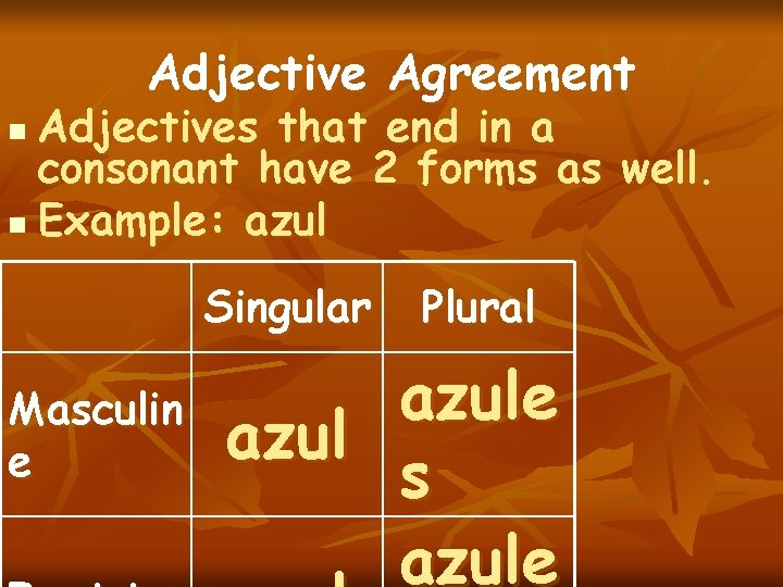 Review of adjective agreement ser nouns articles Adjective