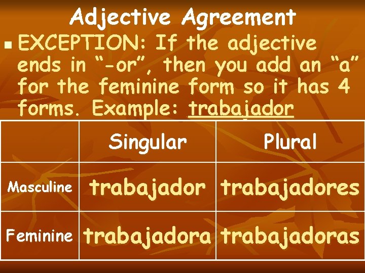 Review of adjective agreement ser nouns articles Adjective