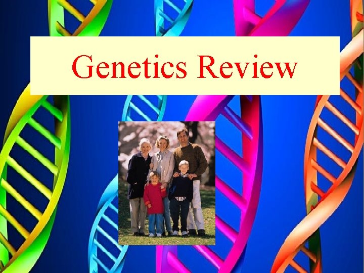 Genetics Review An xray photo was a key