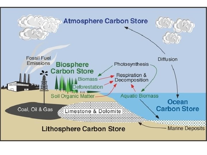 CO 2 fertilization increased water use efficiency Plants