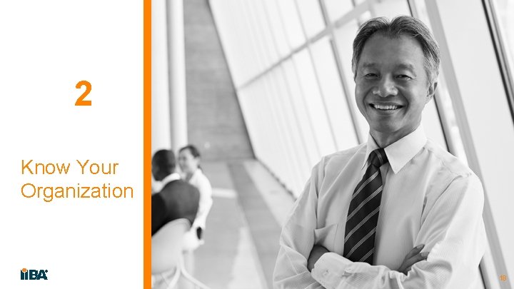 BUSINESS ANALYSIS IN THE INFORMATION AGE Barbara A