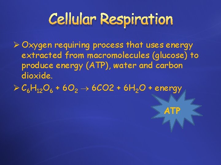 Cellular Respiration Oxygen requiring process that uses energy