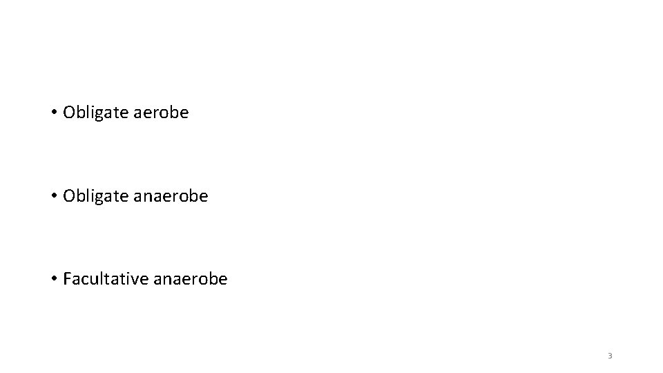 Kingdom of Saudi Arabia Ministry of Education Taibah