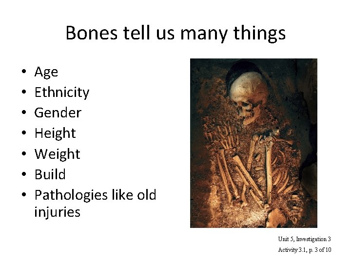 What Do the Bones Say Forensic Anthropology Combining