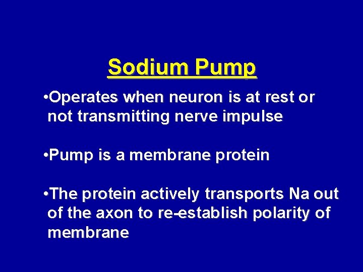 Todays Lesson Nervous System and Drug Addiction Overview
