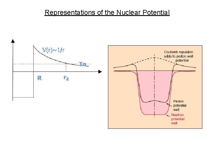 Representations of the Nuclear Potential The nucleus can