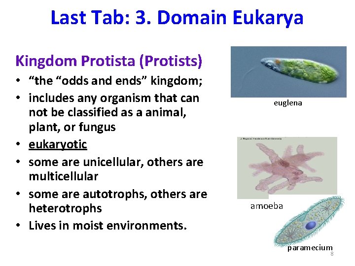 The Three Domains All organisms belong to one