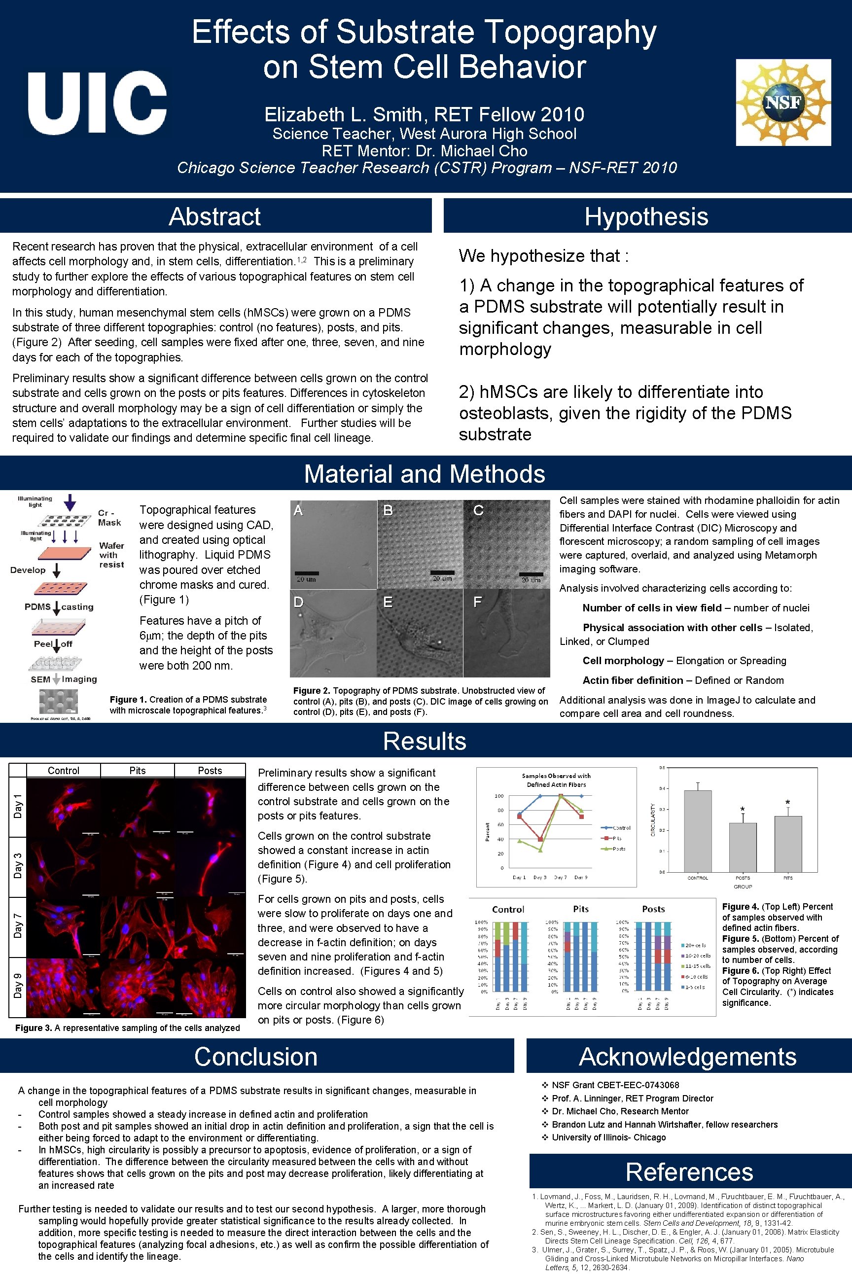 Effects of Substrate Topography on Stem Cell Behavior