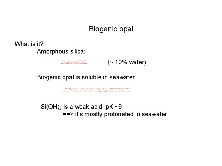 Biogenic Silica in Marine Sediments Inputs and Outputs