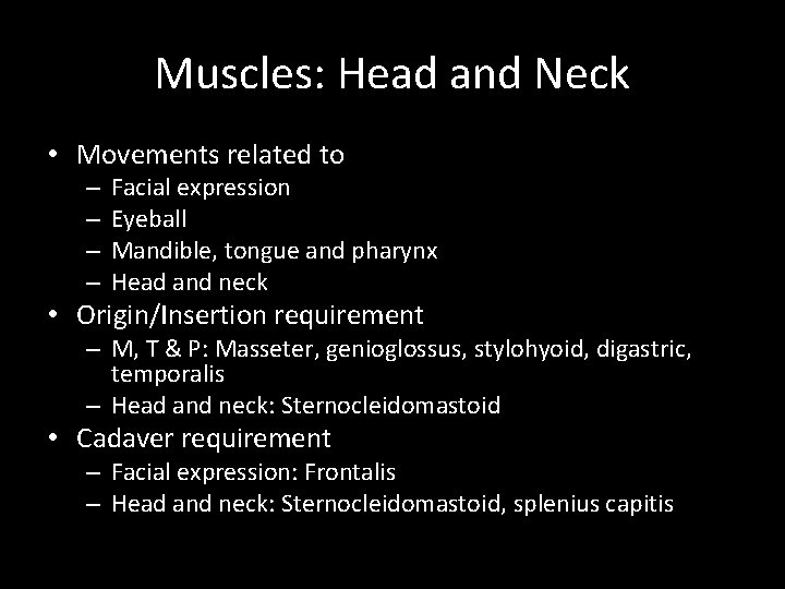 Unit 3 The Muscular System Lab 1 Muscles