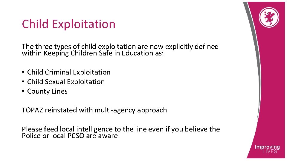 Somerset Designated Safeguarding Lead Briefing Education Safeguarding ...