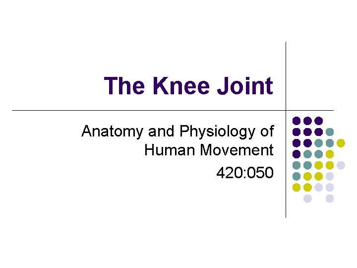 The Knee Joint Anatomy and Physiology of Human