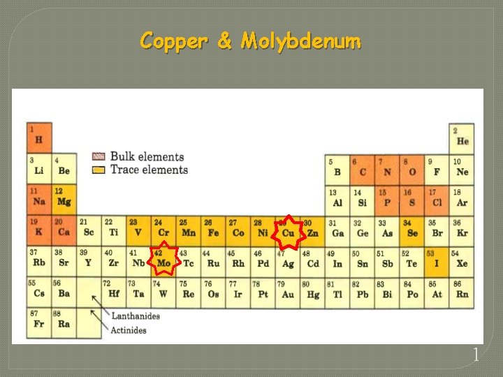 Copper Molybdenum 1 Copper Molybdenum Metabolism Function Requirement