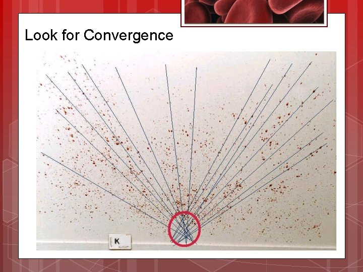 Blood as Evidence Image from http science howstuffworks