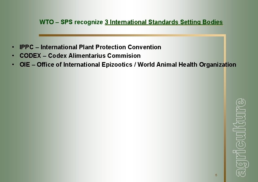 General overview of South Africas commitment to global